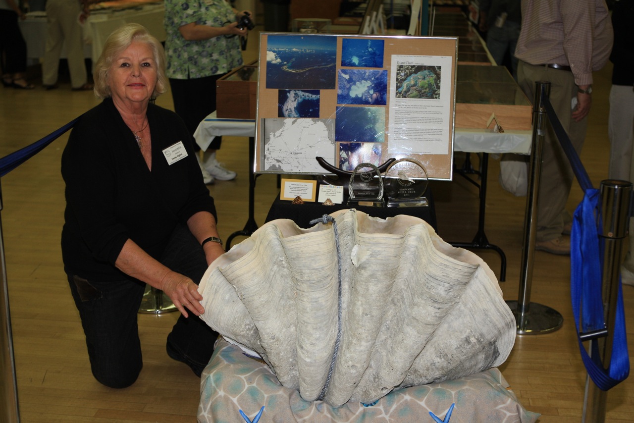 2013 SHELL SHOW INFORMATION – Broward Shell Club